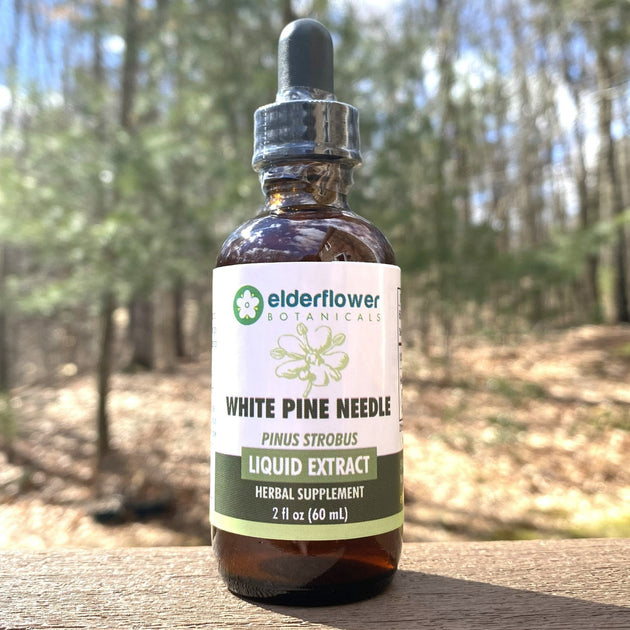 Whitepineneedle2floz_front_1200x630.jpg?v=1679984022